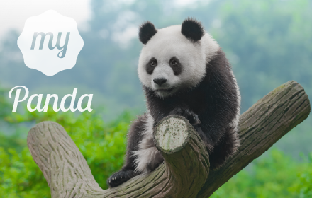MyPanda